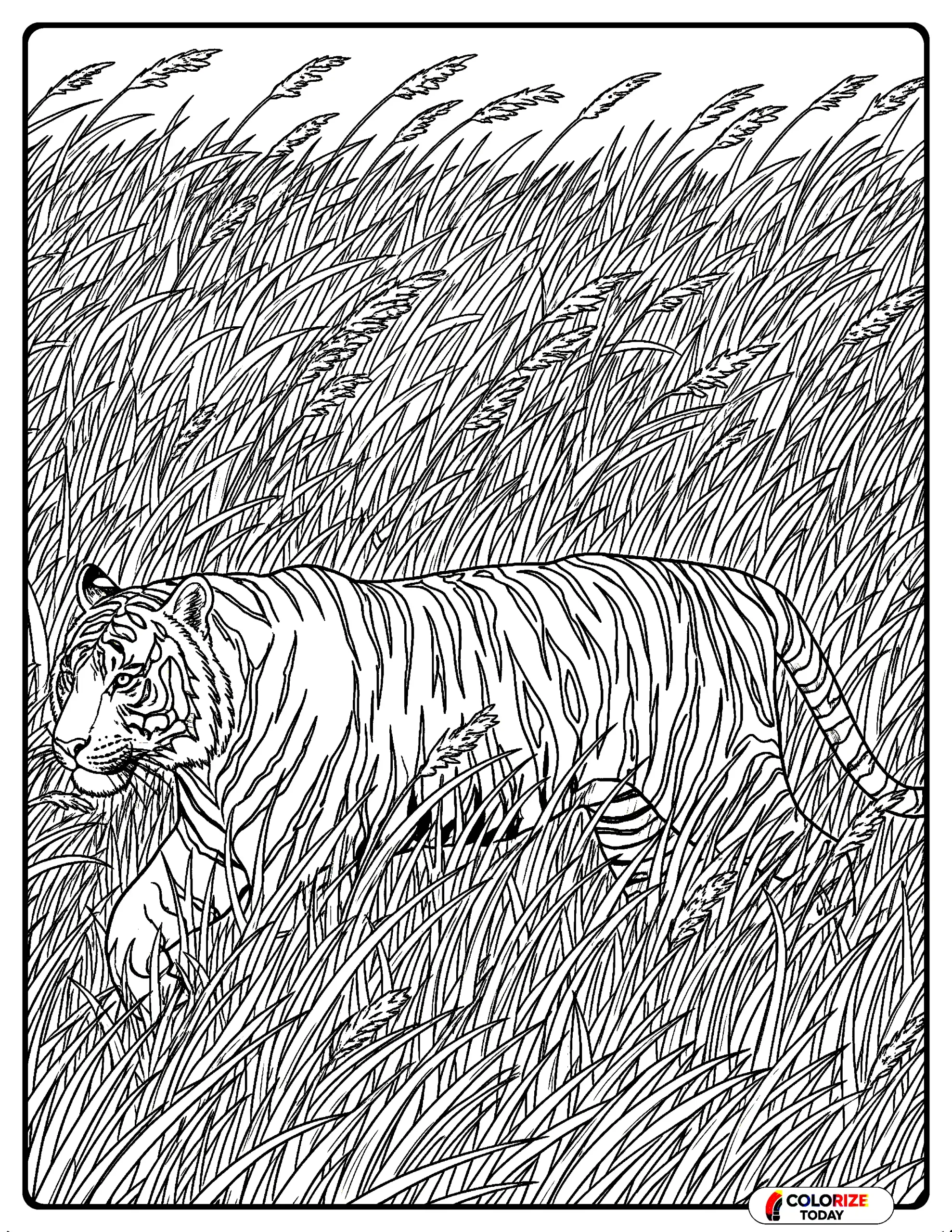 14 Free Realistic Tiger Coloring Pages | Detailed Printable Tiger Art ...