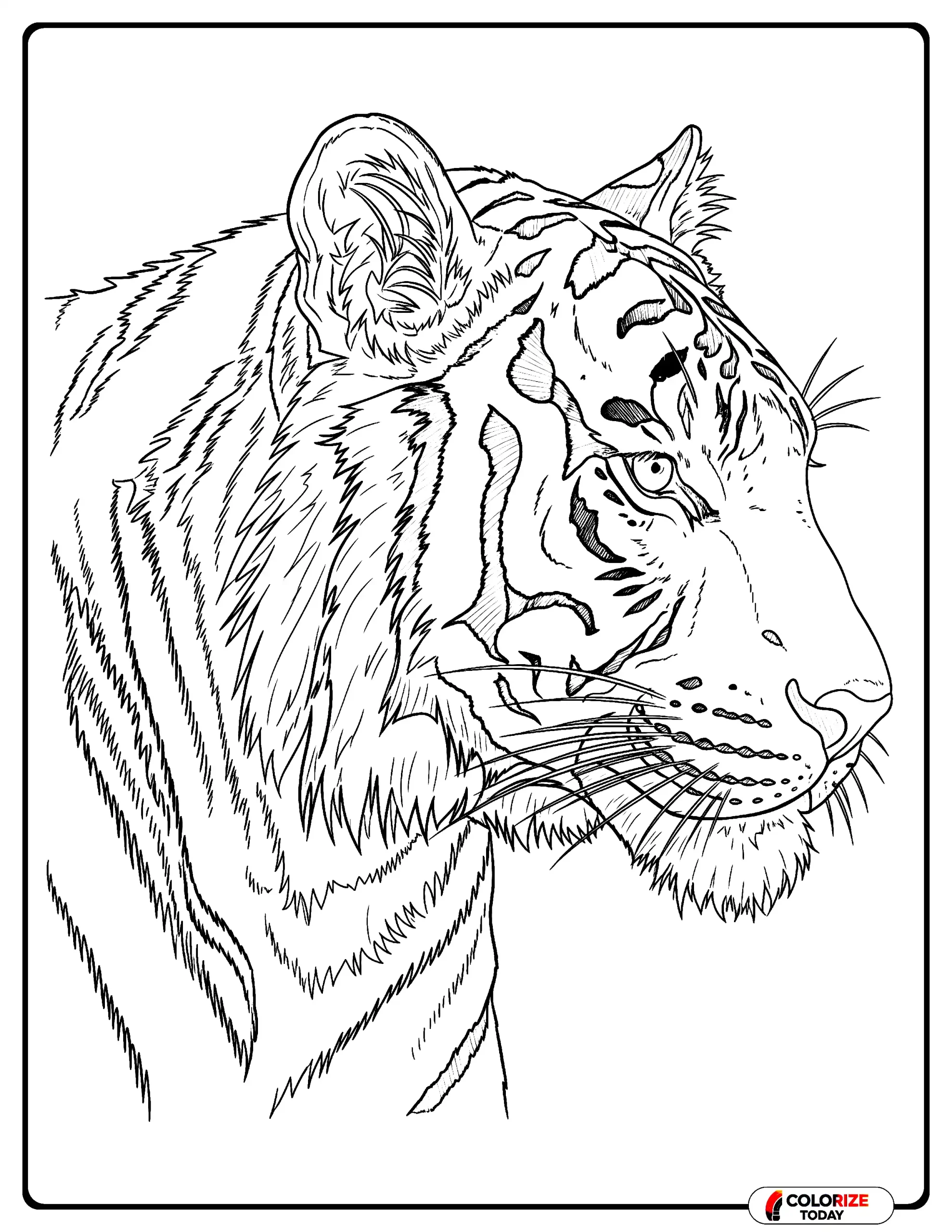 14 Free Realistic Tiger Coloring Pages | Detailed Printable Tiger Art ...